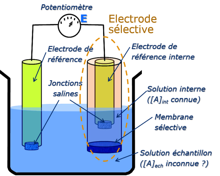 Potentiométrie (les méthodes potentiométriques) — Chimie Analytique